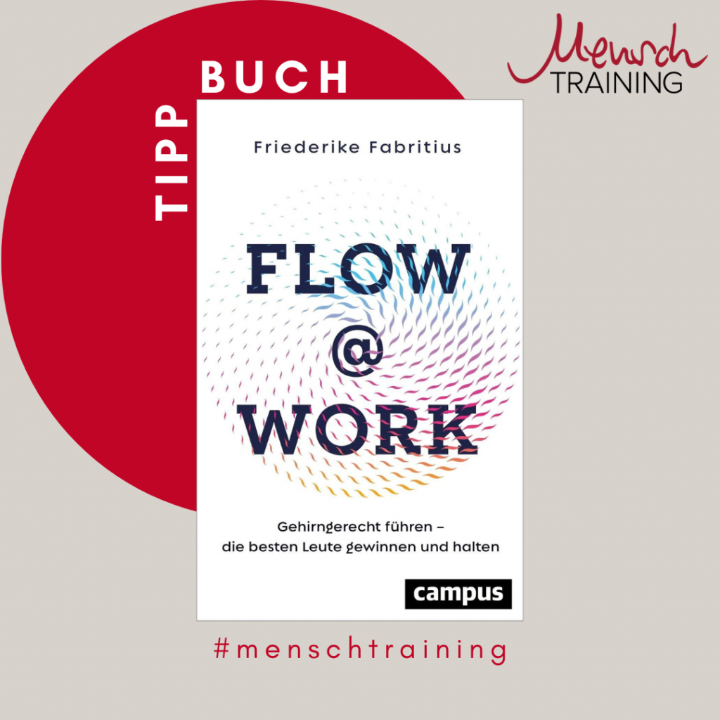 Buchtipp 'Flow@Work' von Friederike Fabritius | MenschTRAINING